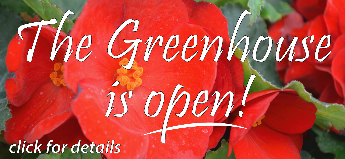 greenhouse-is-open - Generation Building Center